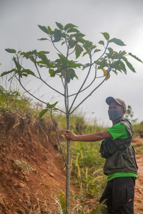 Ipo Watershed Reforestation with DENR, Eco Explorations, Forest ...